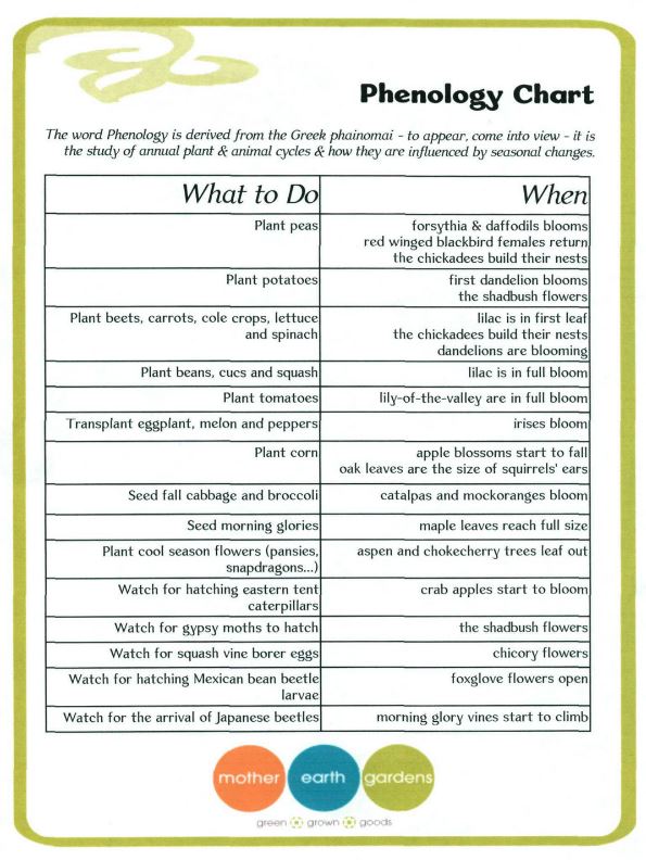 Seed Lending Library | Browse | Framingham Public Library